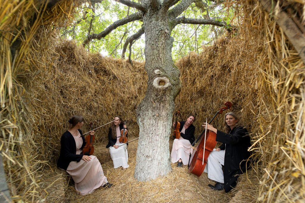 Exploring the Seasons: One Tree Four Seasons Installation - thefounder